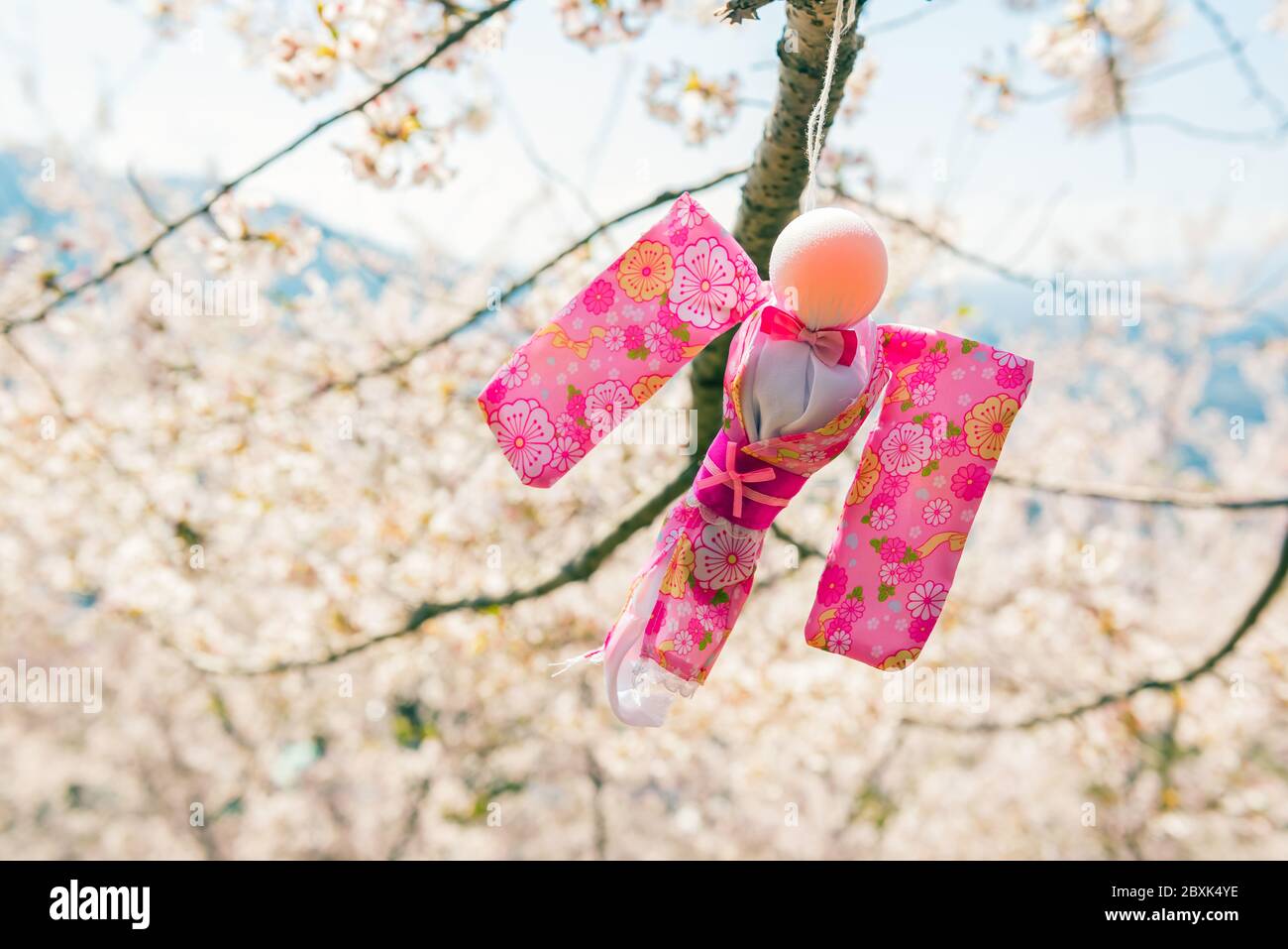 Teru Teru Bozu. Japanese Rain Doll hanging on Sakura tree to pray for ...