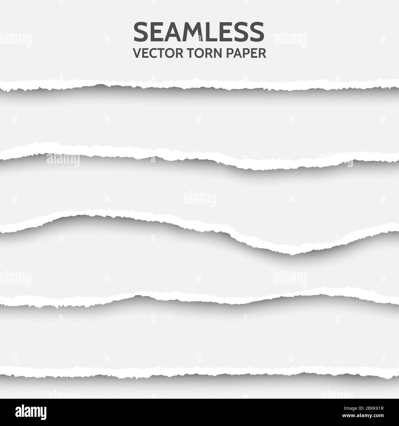 Vector seamless torn paper set on gray background. Ripped cardboard ...