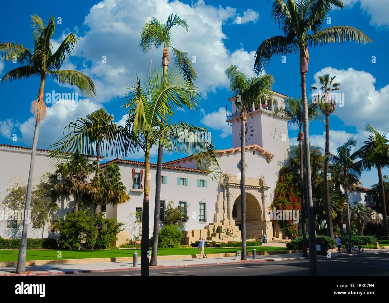 Pal Trees at Courthouse Stock Photo - Alamy