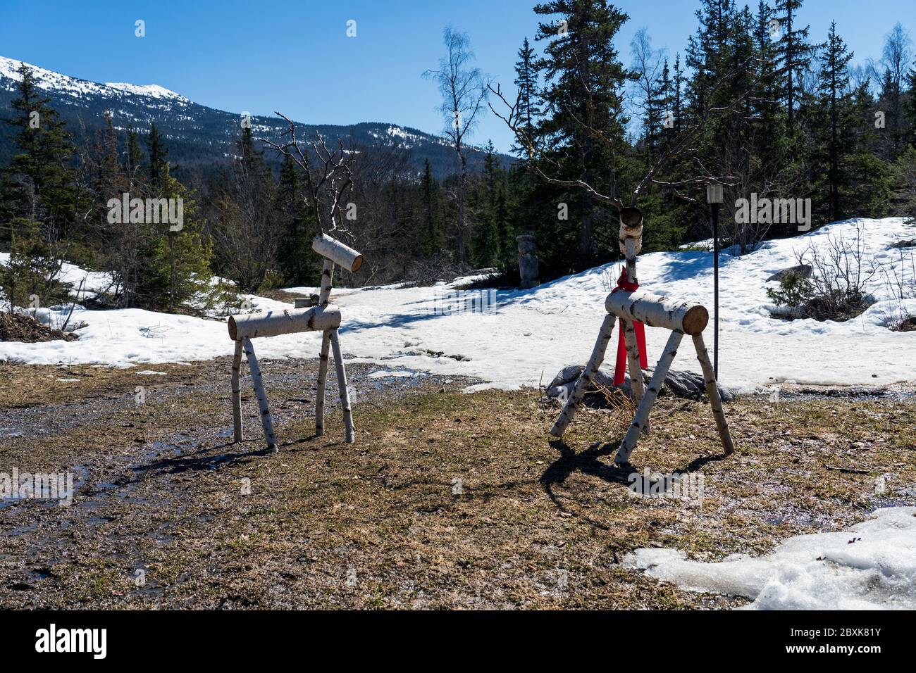 Birch sculpture hi-res stock photography and images - Alamy
