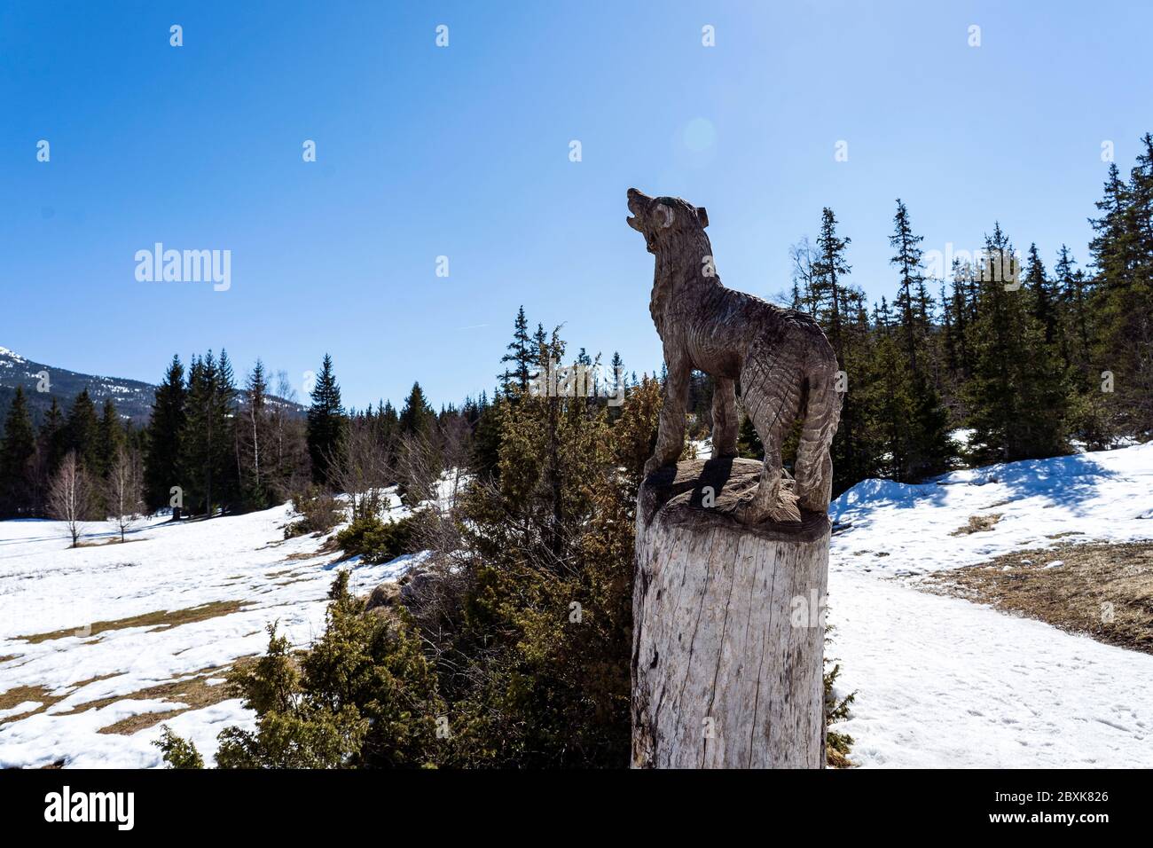 Sculpture at tree trunk hi-res stock photography and images - Alamy