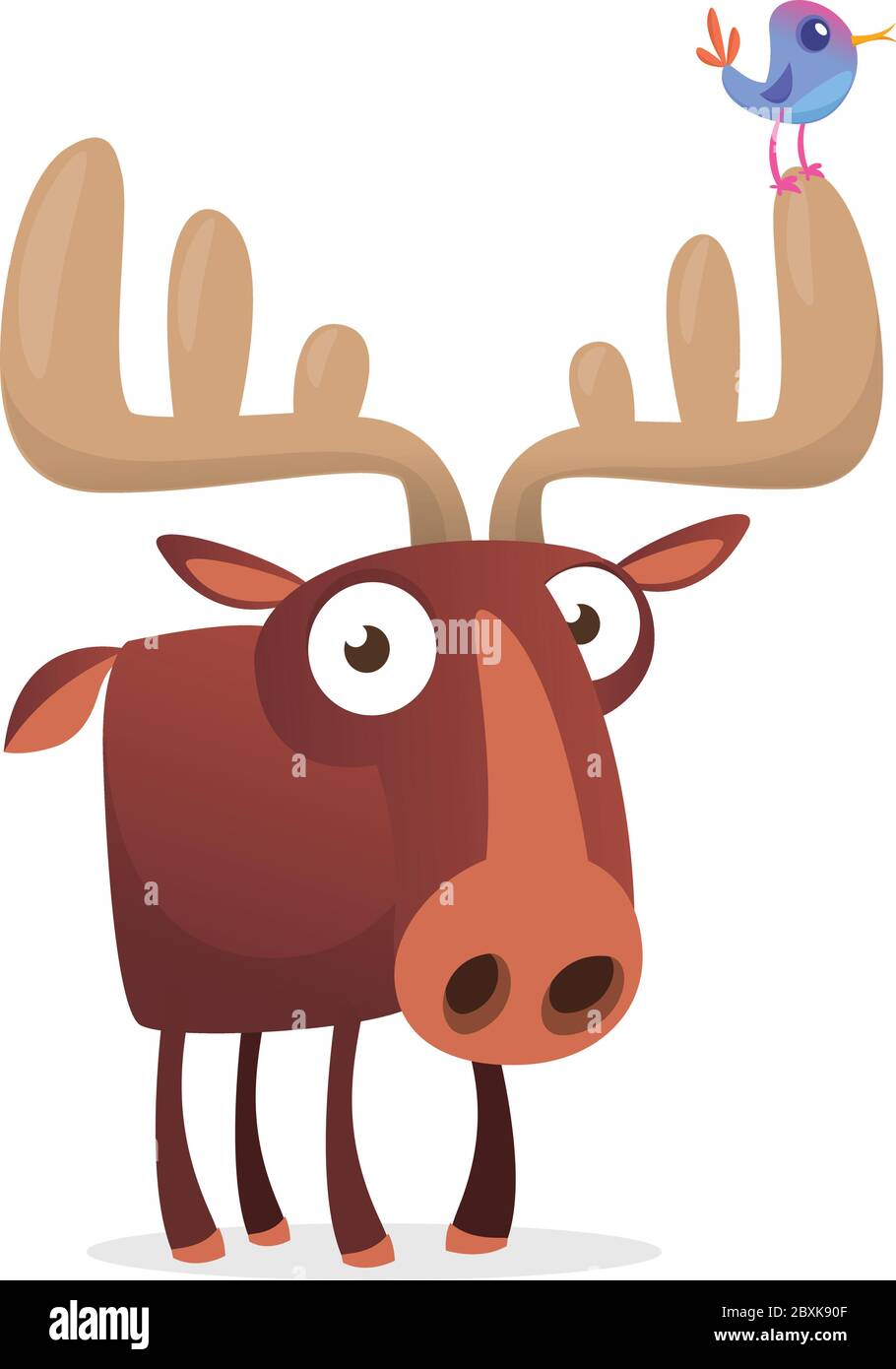 Cool As A Moose High Resolution Stock Photography and Images - Alamy