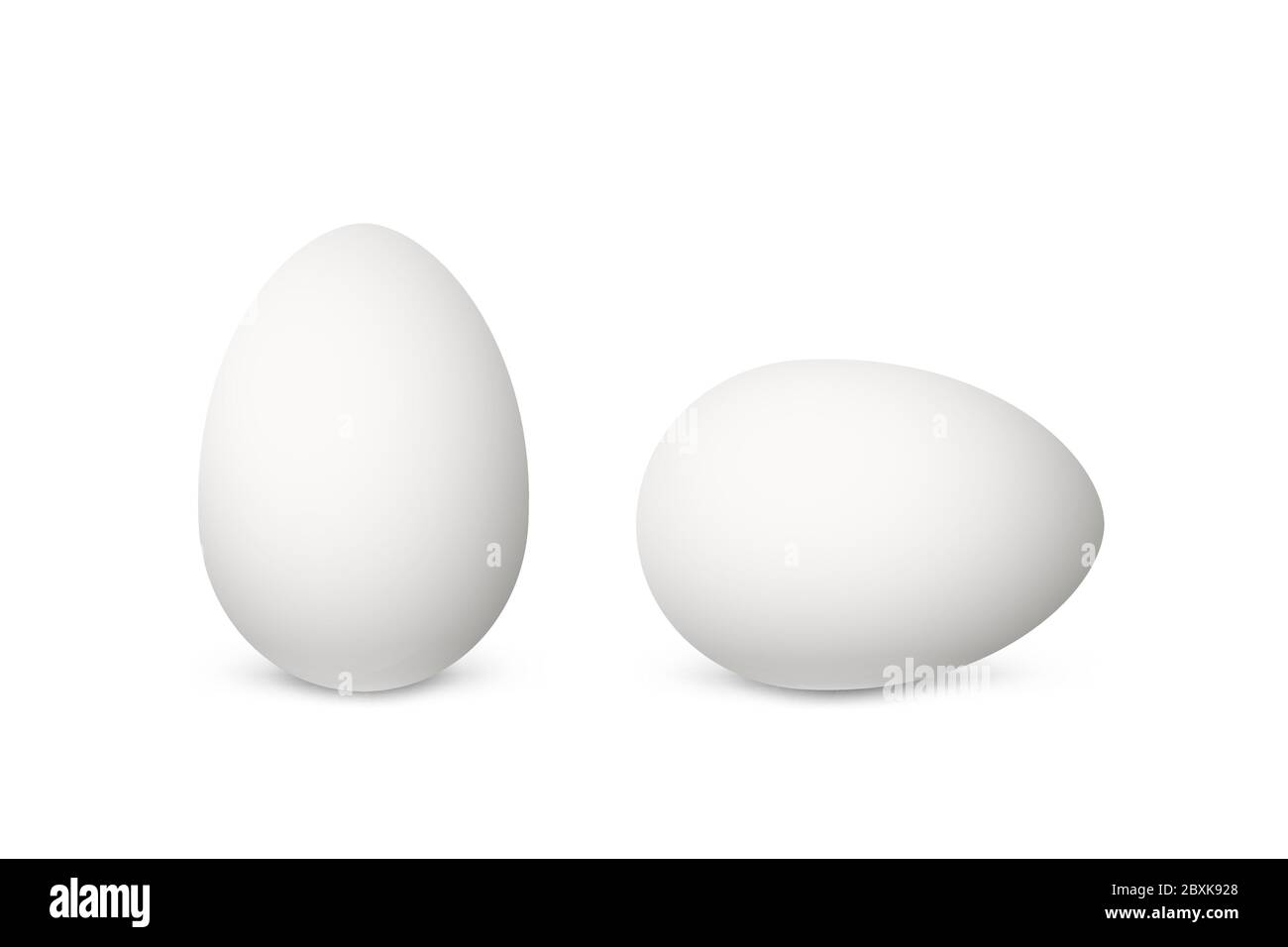Two vector realistic white eggs. Isolated eggs on white background ...