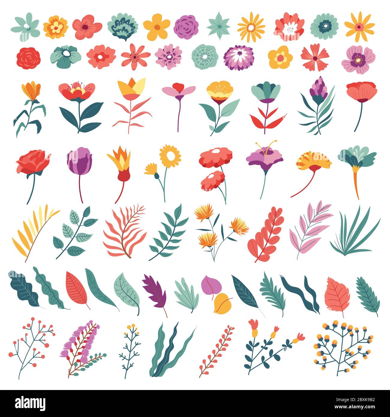Flowers and leaves set, botanical collection in bloom Stock Vector ...