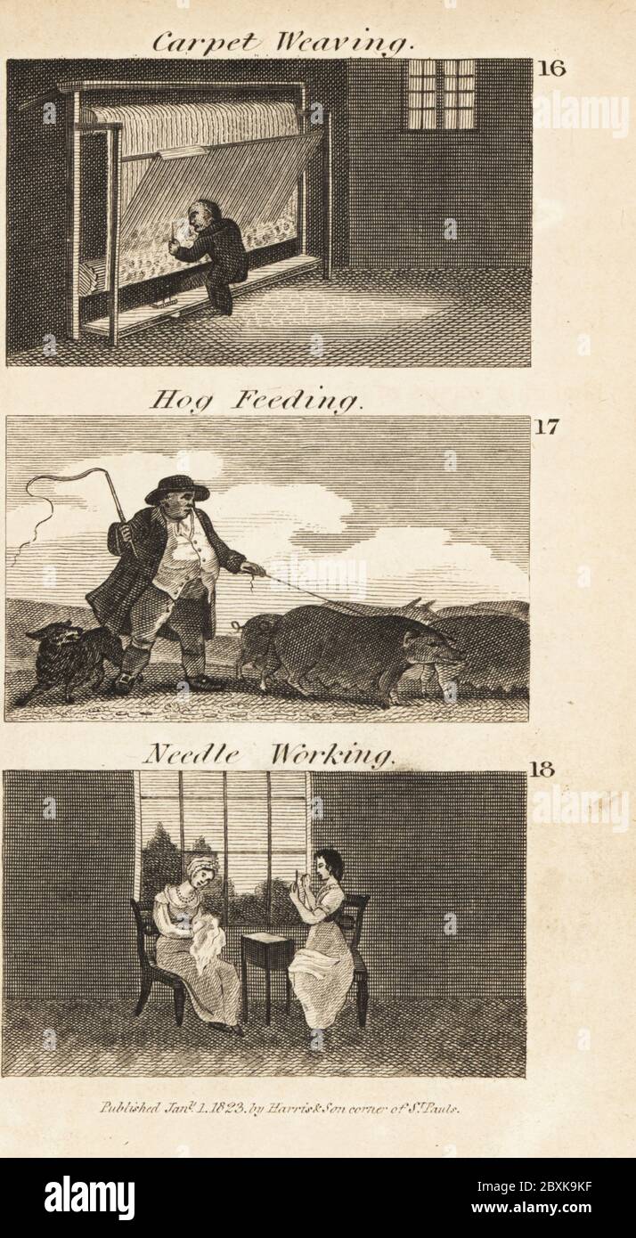 Trades in Regency England. Carpet weaver at a loom in Wilton 16, pig ...