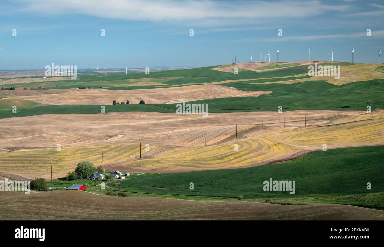Trees and telephone poles hi-res stock photography and images - Alamy