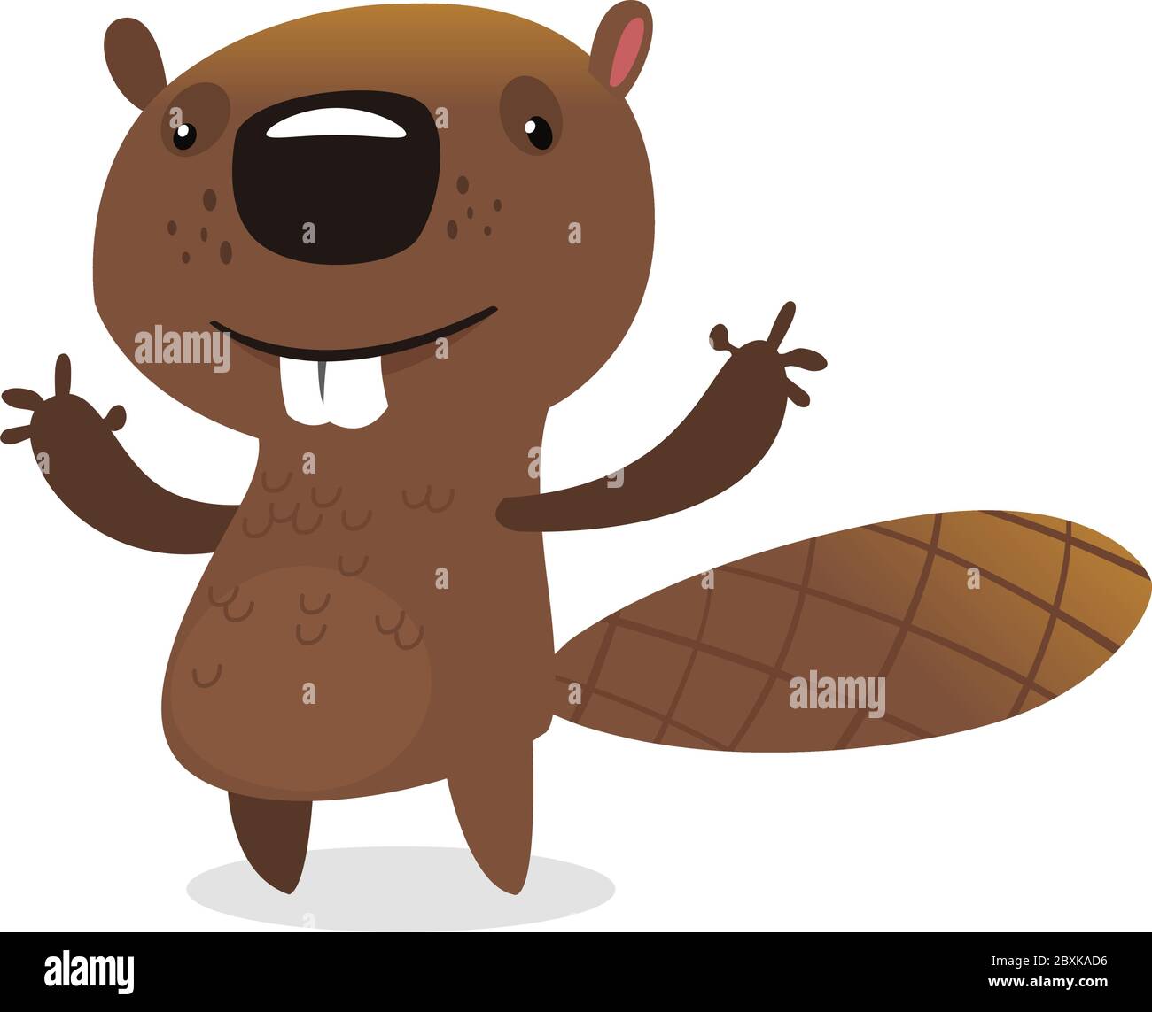 Beaver showing teeth Cut Out Stock Images & Pictures - Alamy