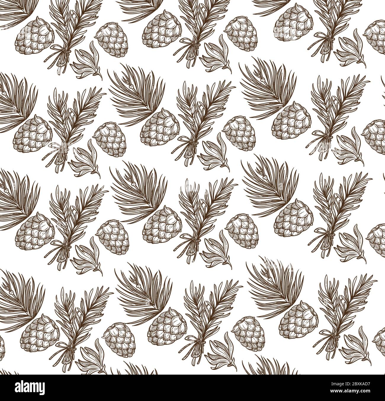 Deodar cedar Stock Vector Images - Alamy