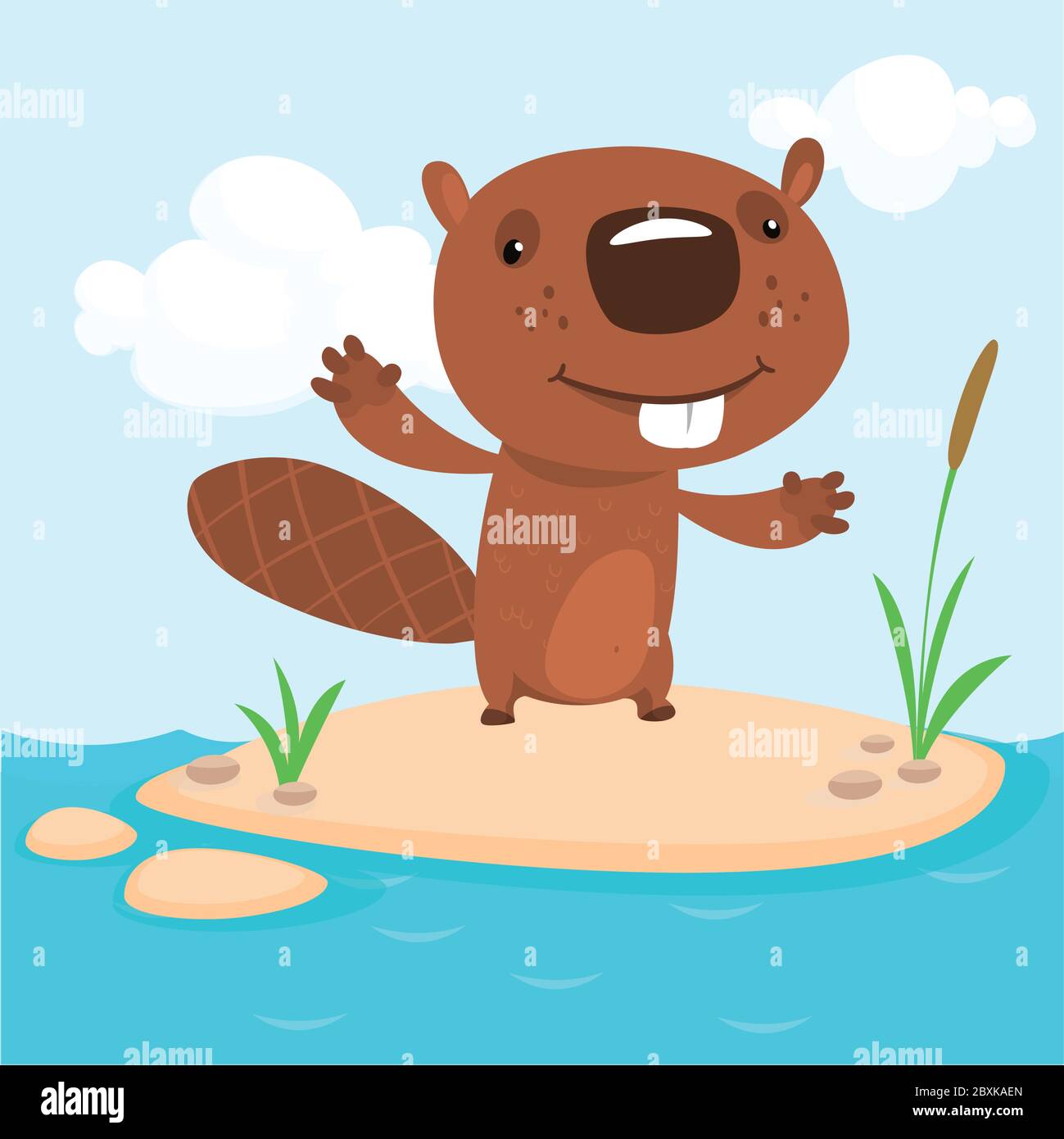 Cute cartoon beaver standing. Vector illustrated Stock Vector Image ...