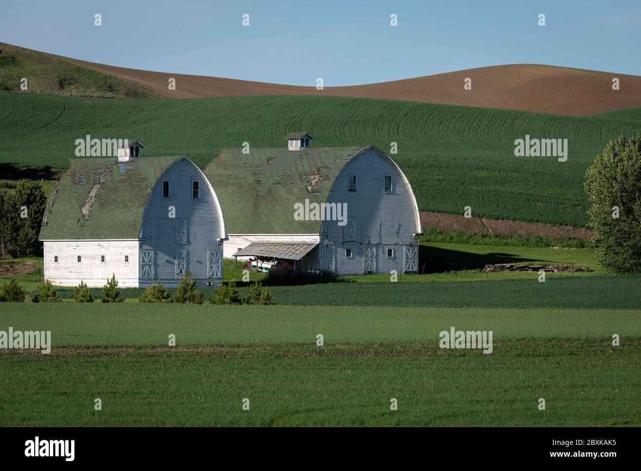 White barns hi-res stock photography and images - Alamy