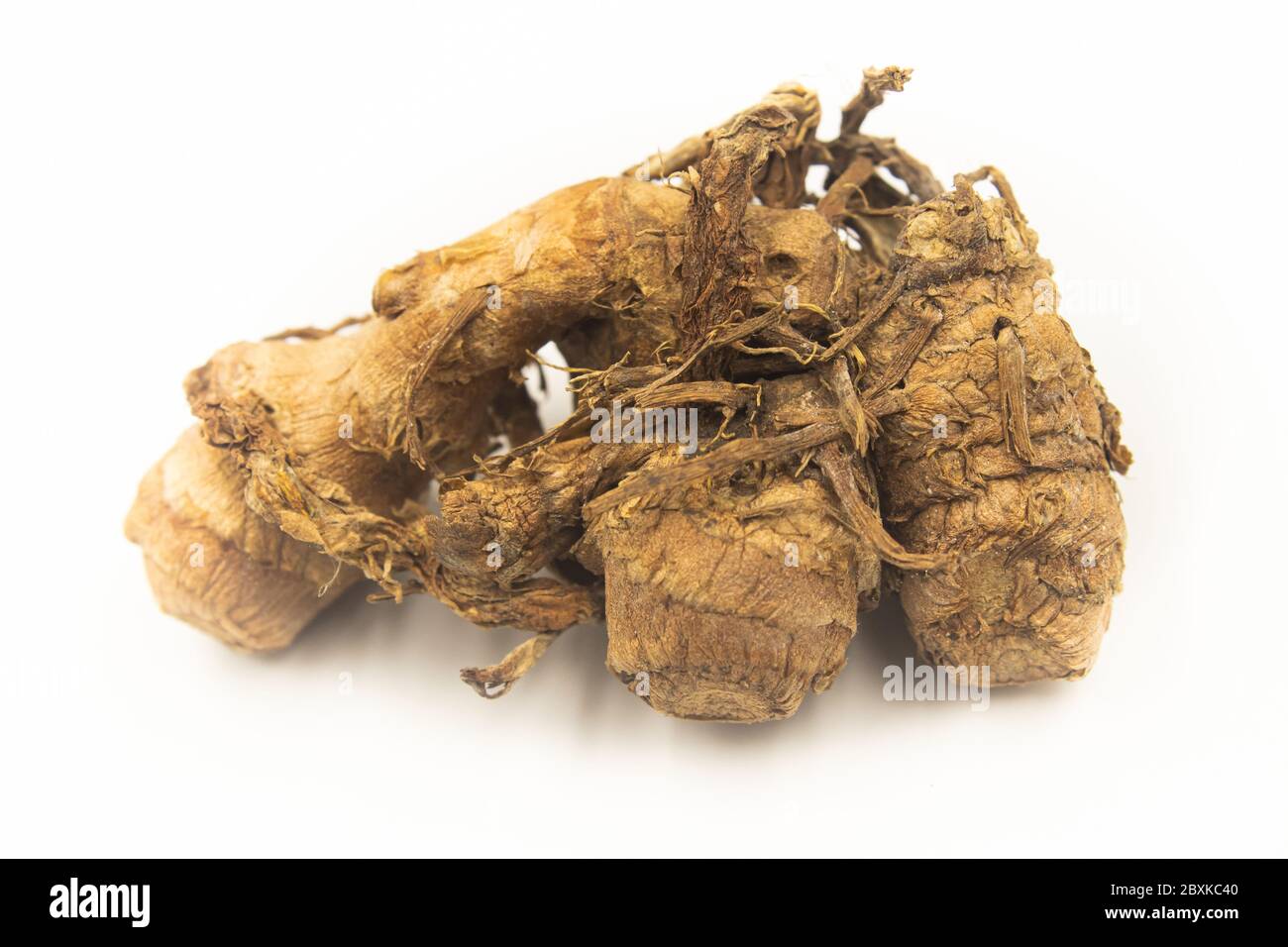 Plants Used For Medicine Cut Out Stock Images & Pictures - Alamy
