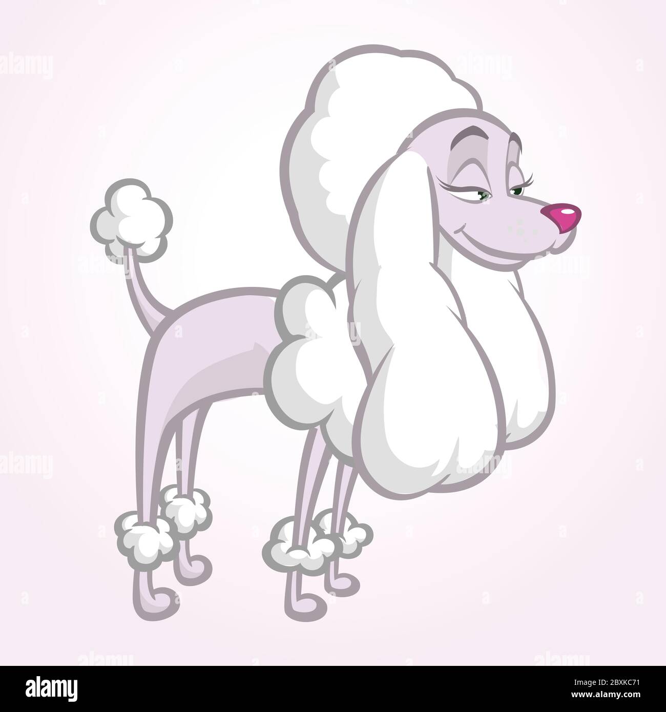 White cartoon poodle. Vector illustration Stock Vector Image & Art - Alamy