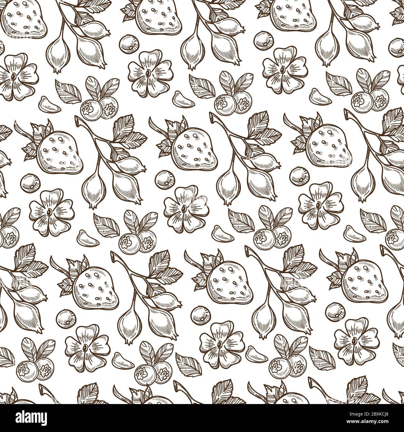 Botanical wild strawberries Stock Vector Images - Alamy