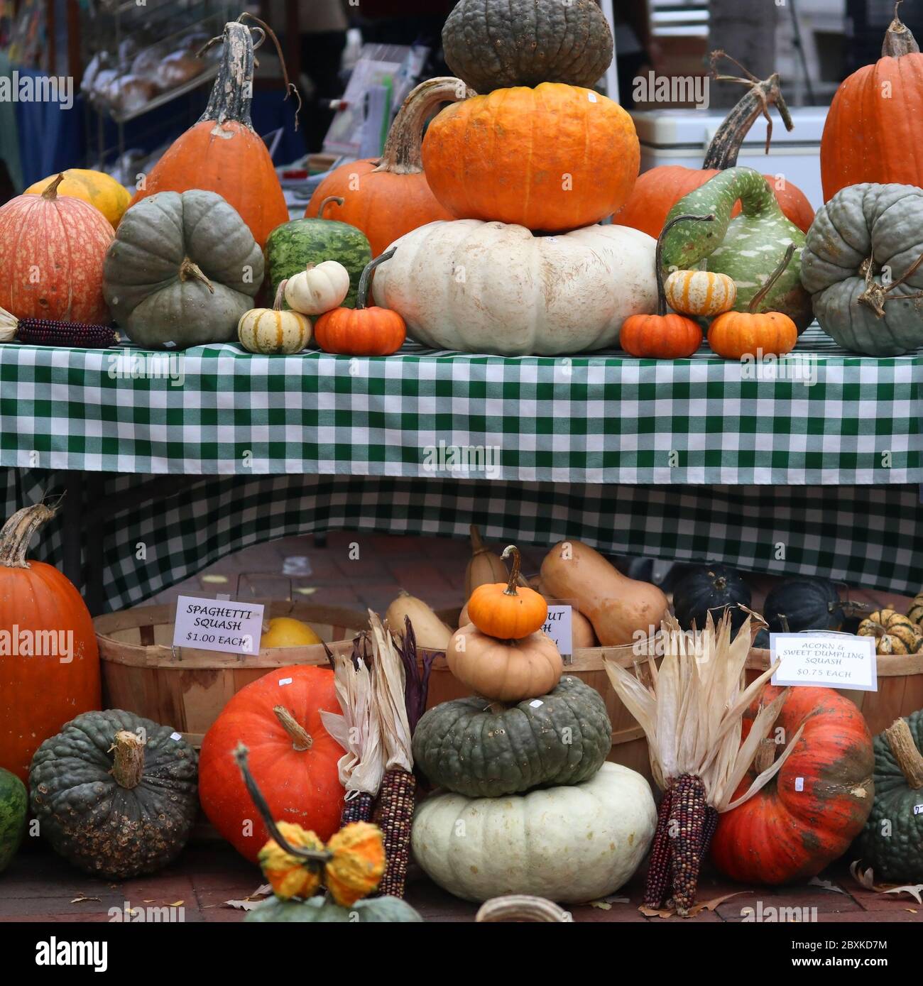 Colorful gourds and dried indian corn for seasonal autumn holiday ...