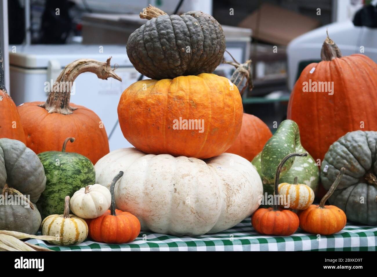 Agricultural background. Colorful gourds for sale at the farmers market ...