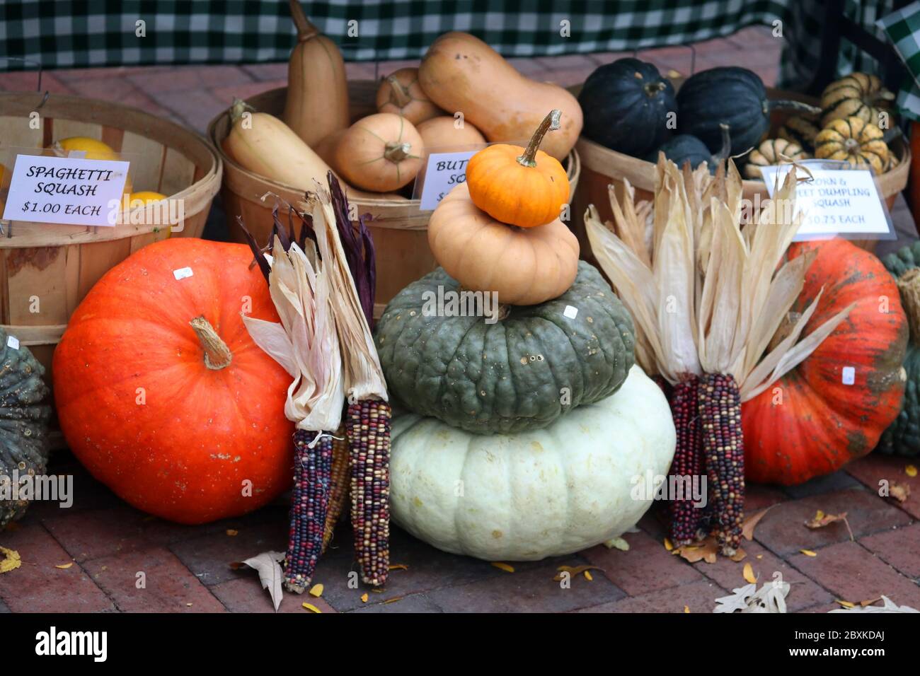 Gourds indian hi-res stock photography and images - Alamy