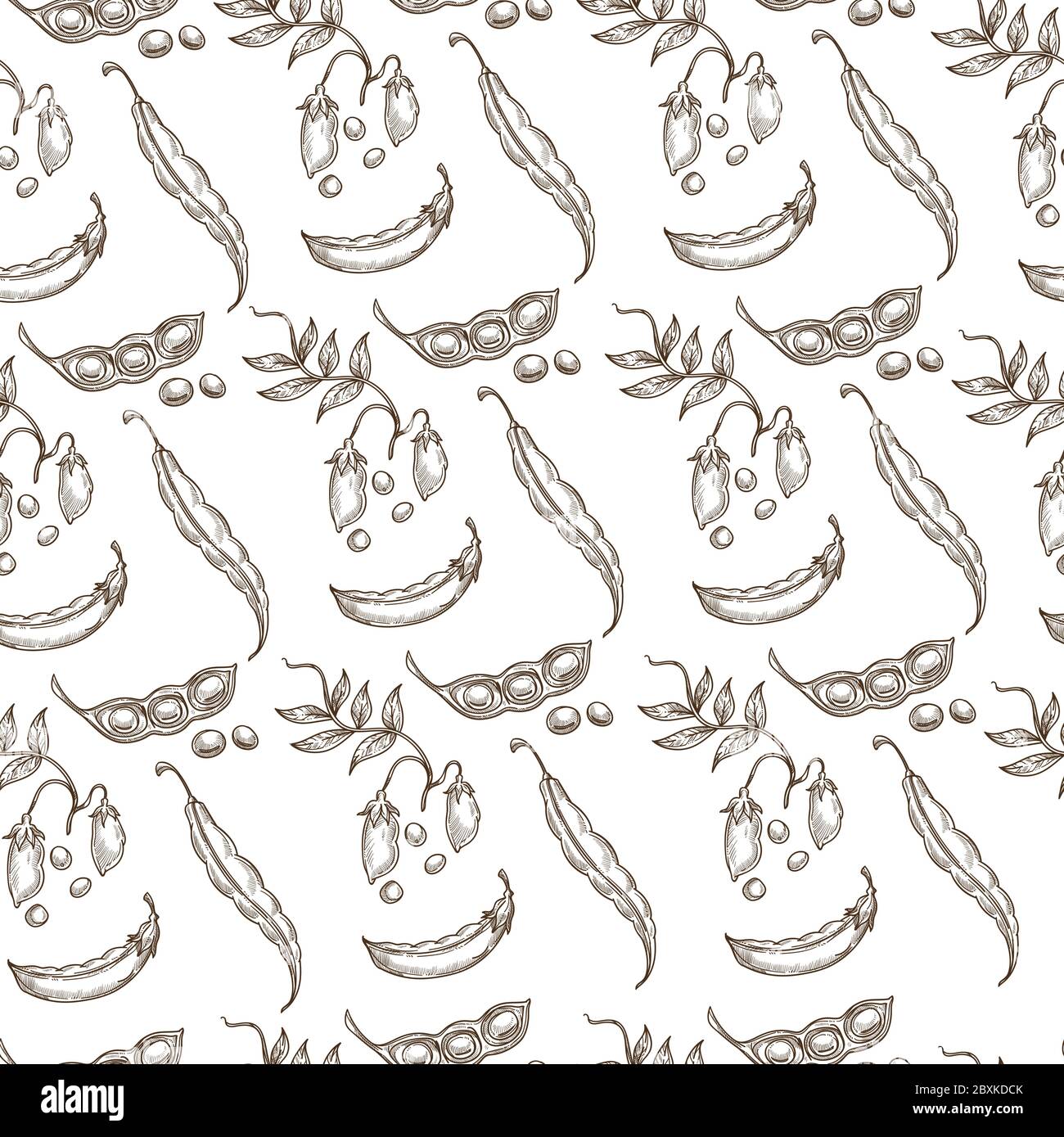 Sweet pea seed Stock Vector Images - Alamy