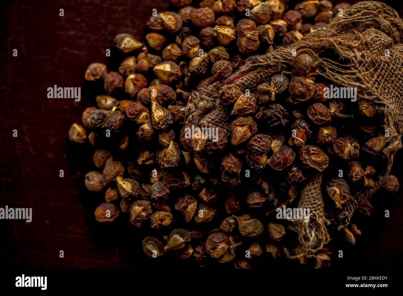 Chinese soap berry soap nut tree hi-res stock photography and images ...