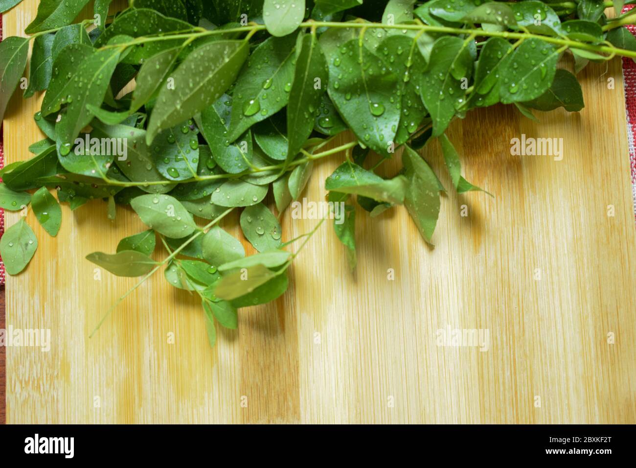 Bunch of Fresh Indian Curry Leaves / Curry Leaf on Wooden Background ...