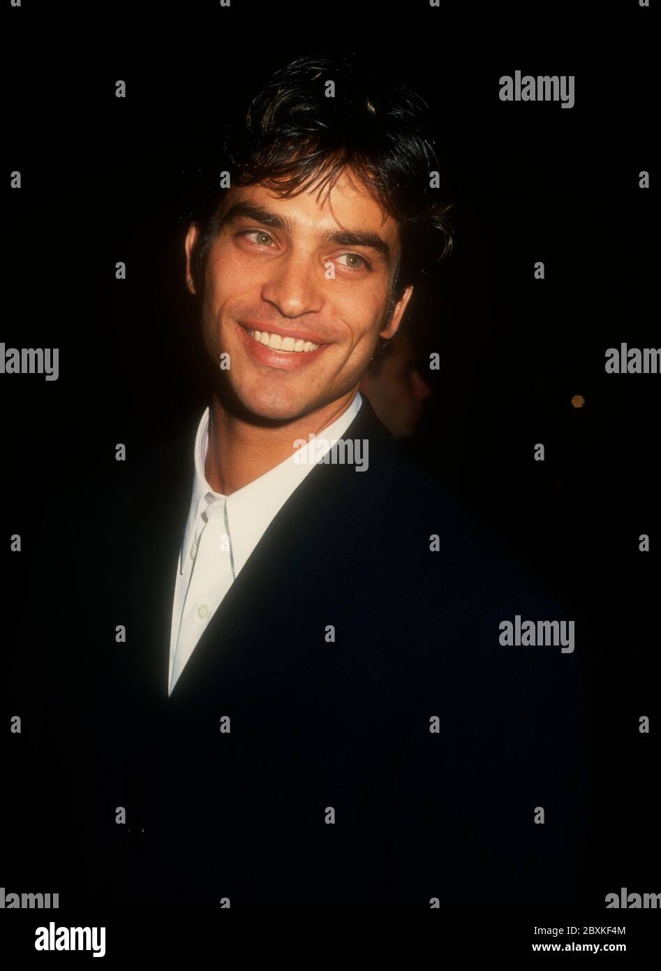 Johnathon Schaech Young