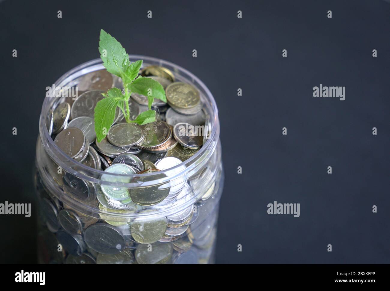 Money Safety Net High Resolution Stock Photography and Images - Alamy