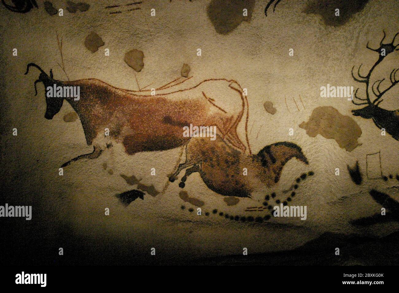 Prehistoric animal cave paintings reconstruction Anthropology Museum ...