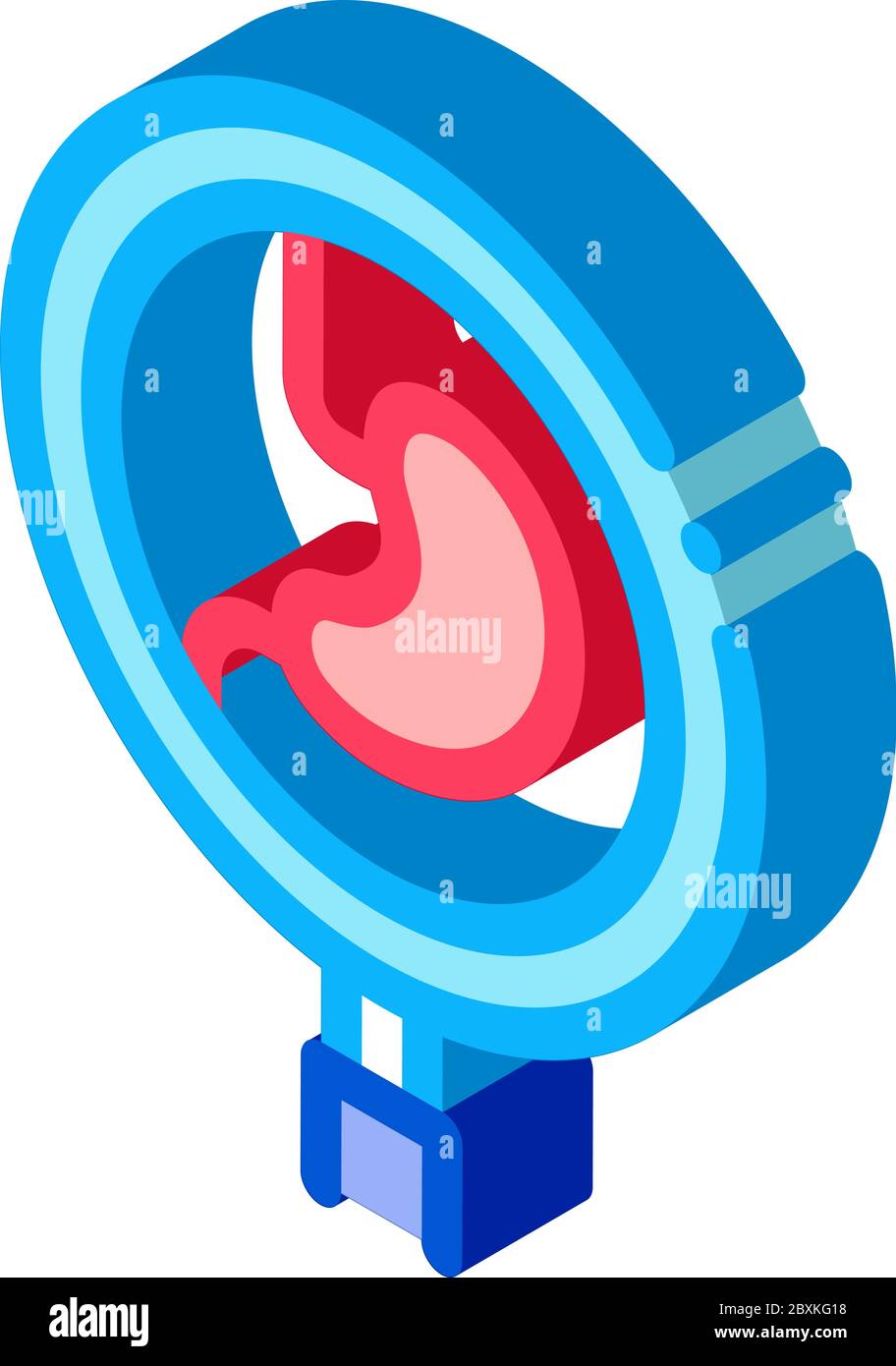 detailed study of stomach isometric icon vector illustration Stock ...