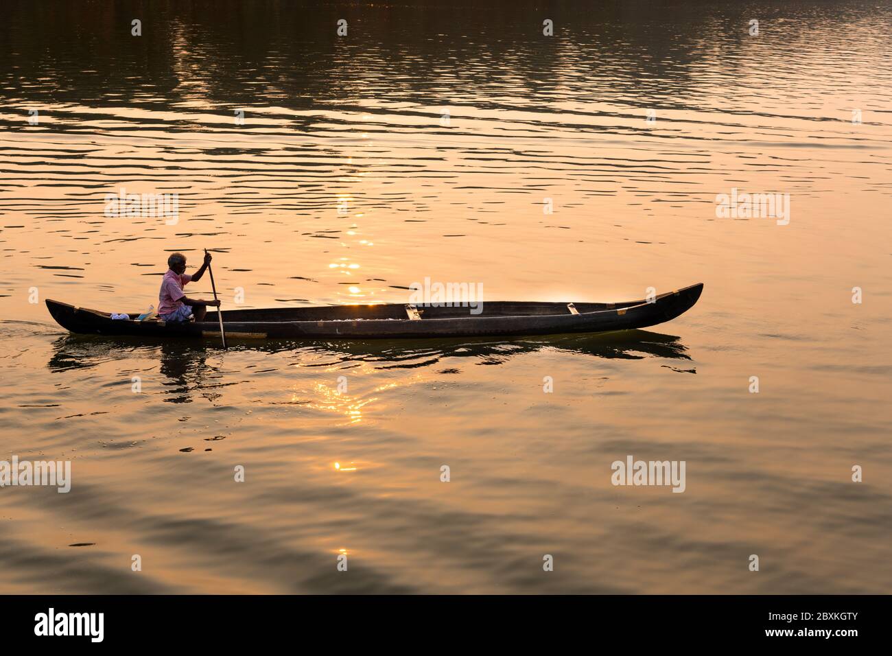 Man rowing canoe in the backwaters of Kerala Stock Photo - Alamy
