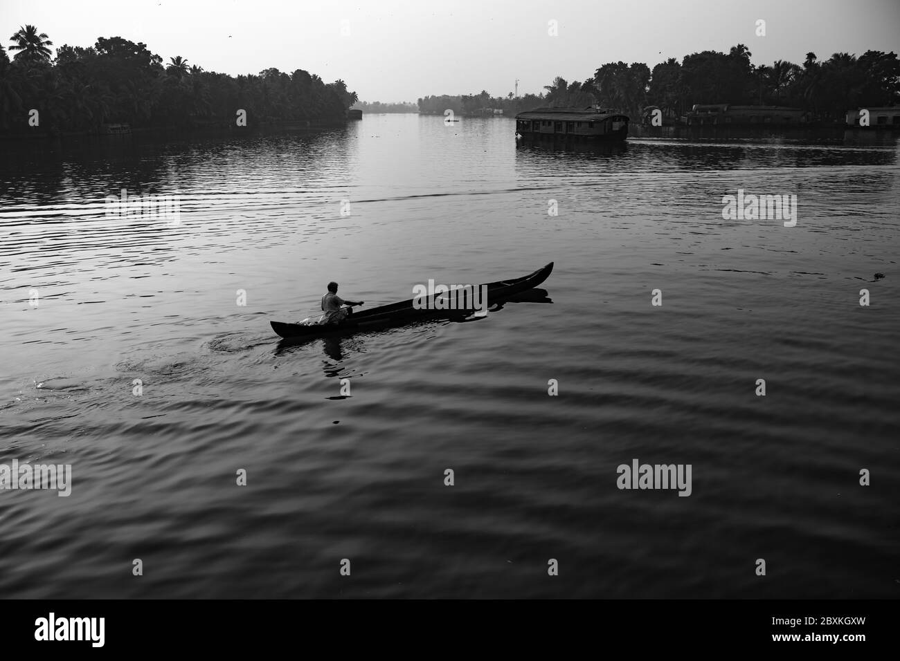 Man rowing canoe in the backwaters of Kerala Stock Photo - Alamy