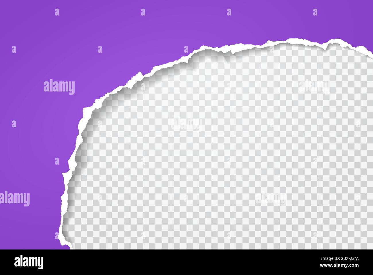 Torn, ripped piece of purple paper with soft shadow is on white squared ...