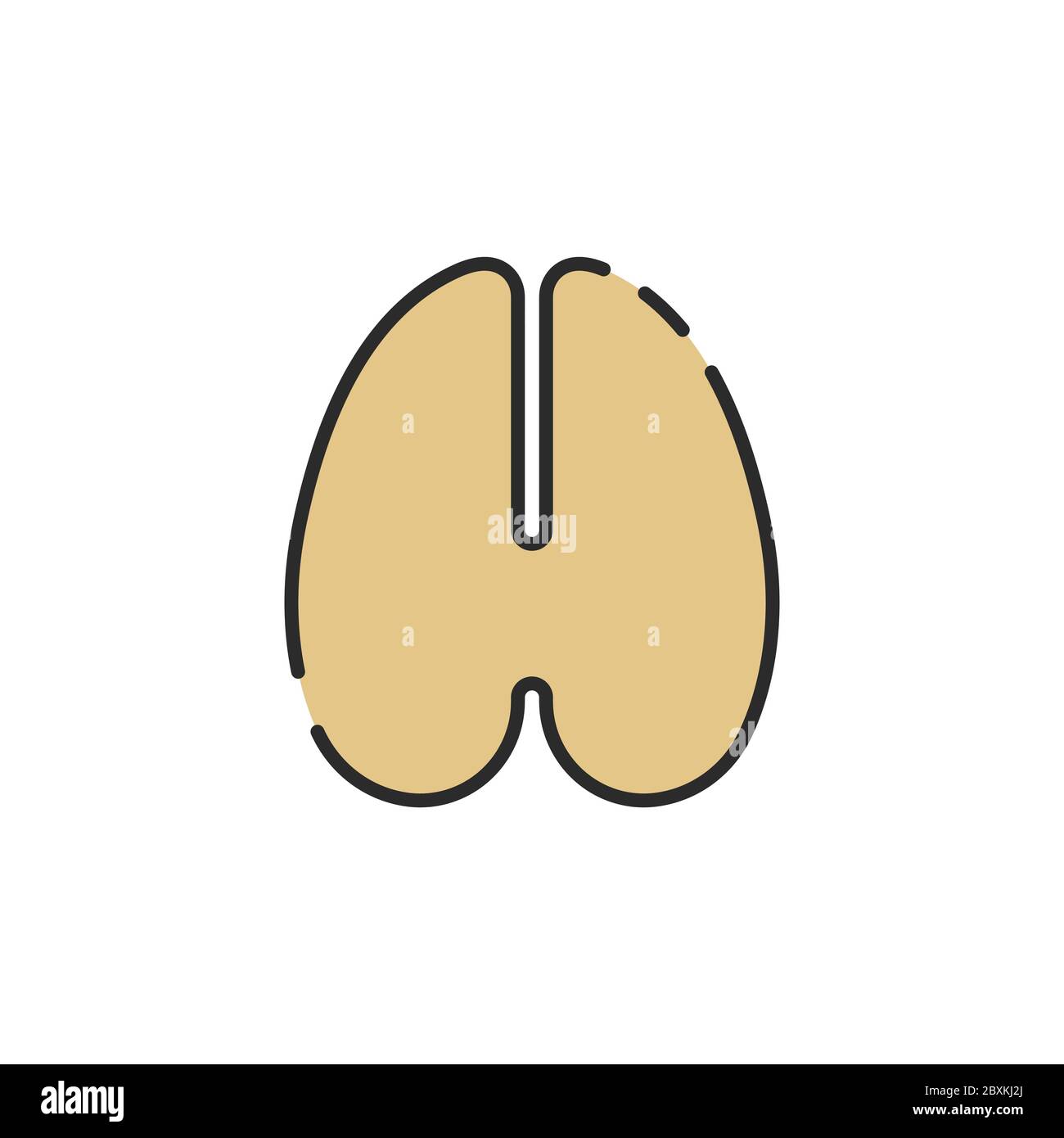 Camel footprint vector icon symbol isolated on white background Stock ...