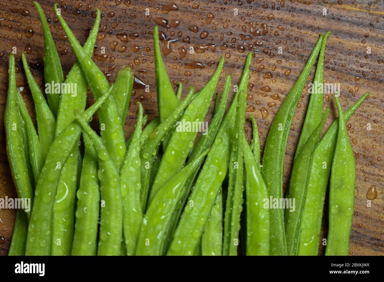 Cluster Bean or Guar Also Known as Gavar, Guwar or Guvar Bean isolated ...