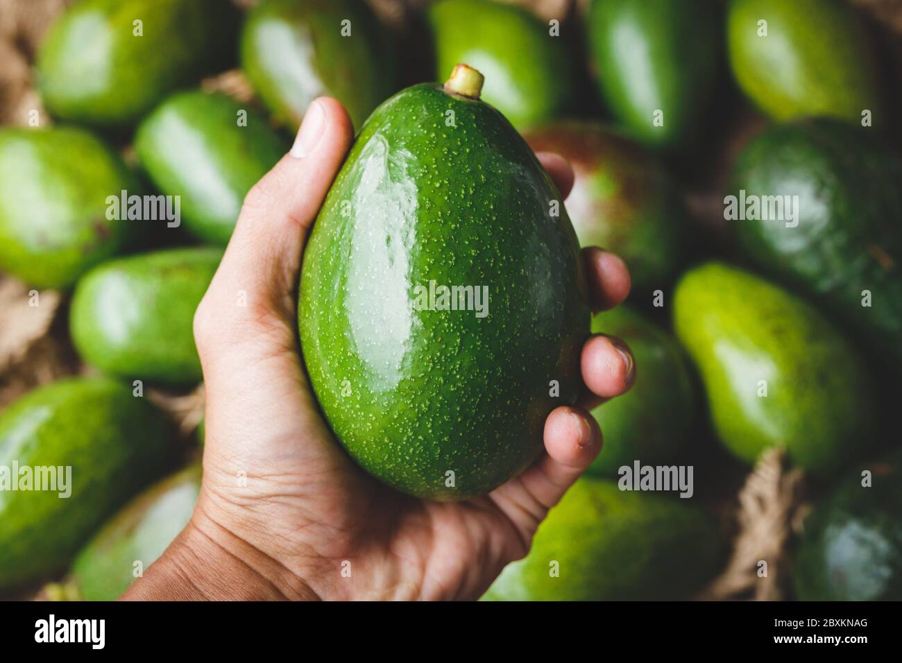 Pure fruit hi-res stock photography and images - Alamy