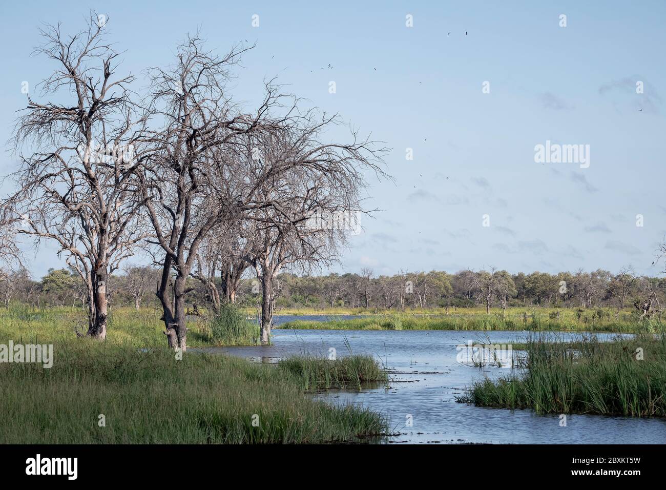 Okavango delta view aerial clouds hi-res stock photography and images ...