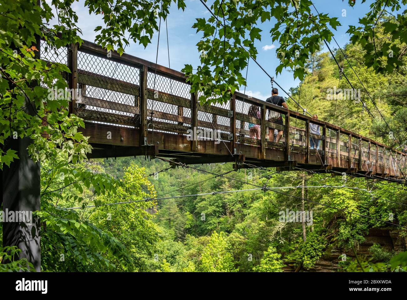 Suspension Bridge over the Tallulah River in Tallulah Gorge State Park in Tallulah Falls ...