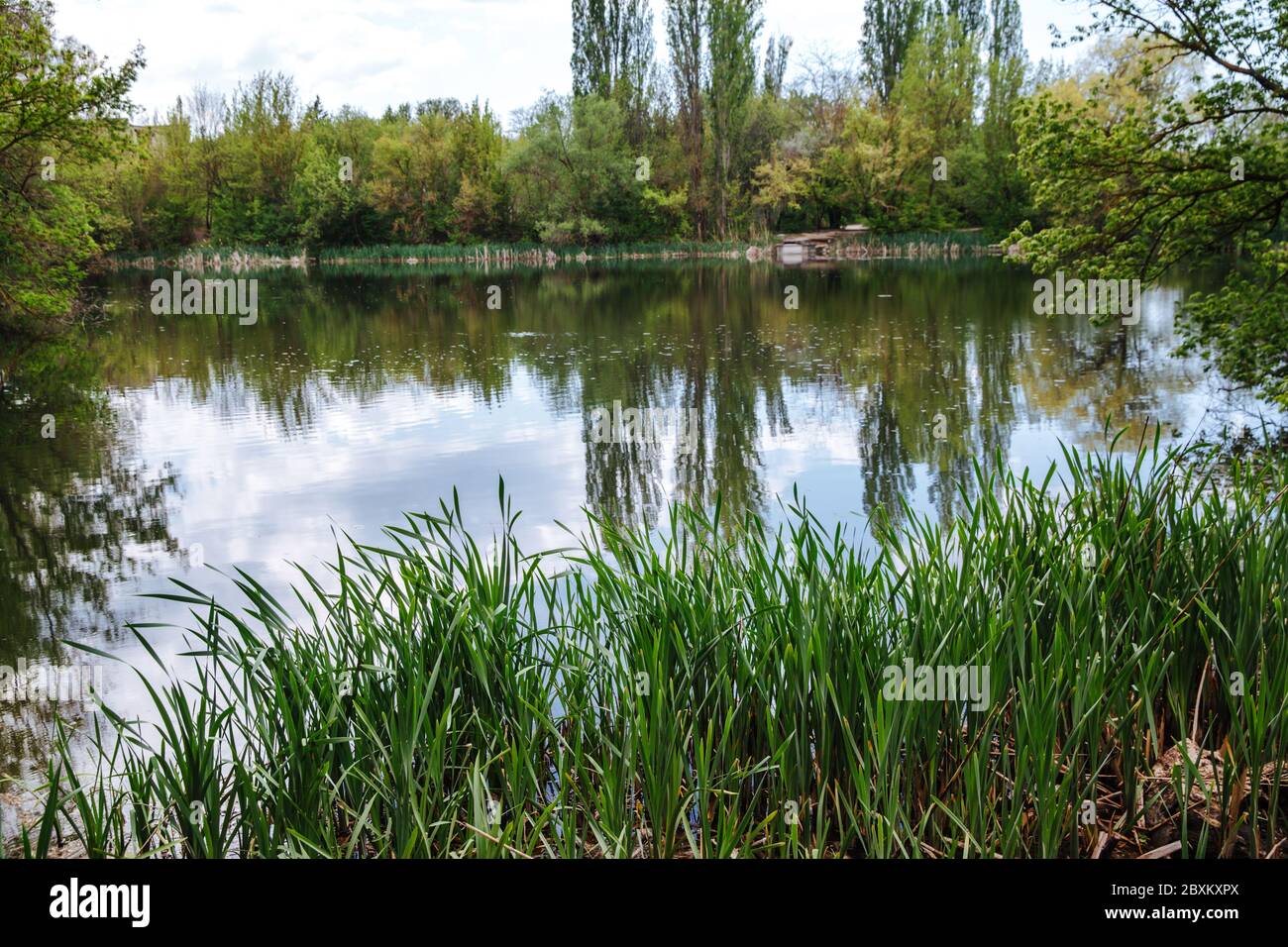 Calm in hi-res stock photography and images - Alamy