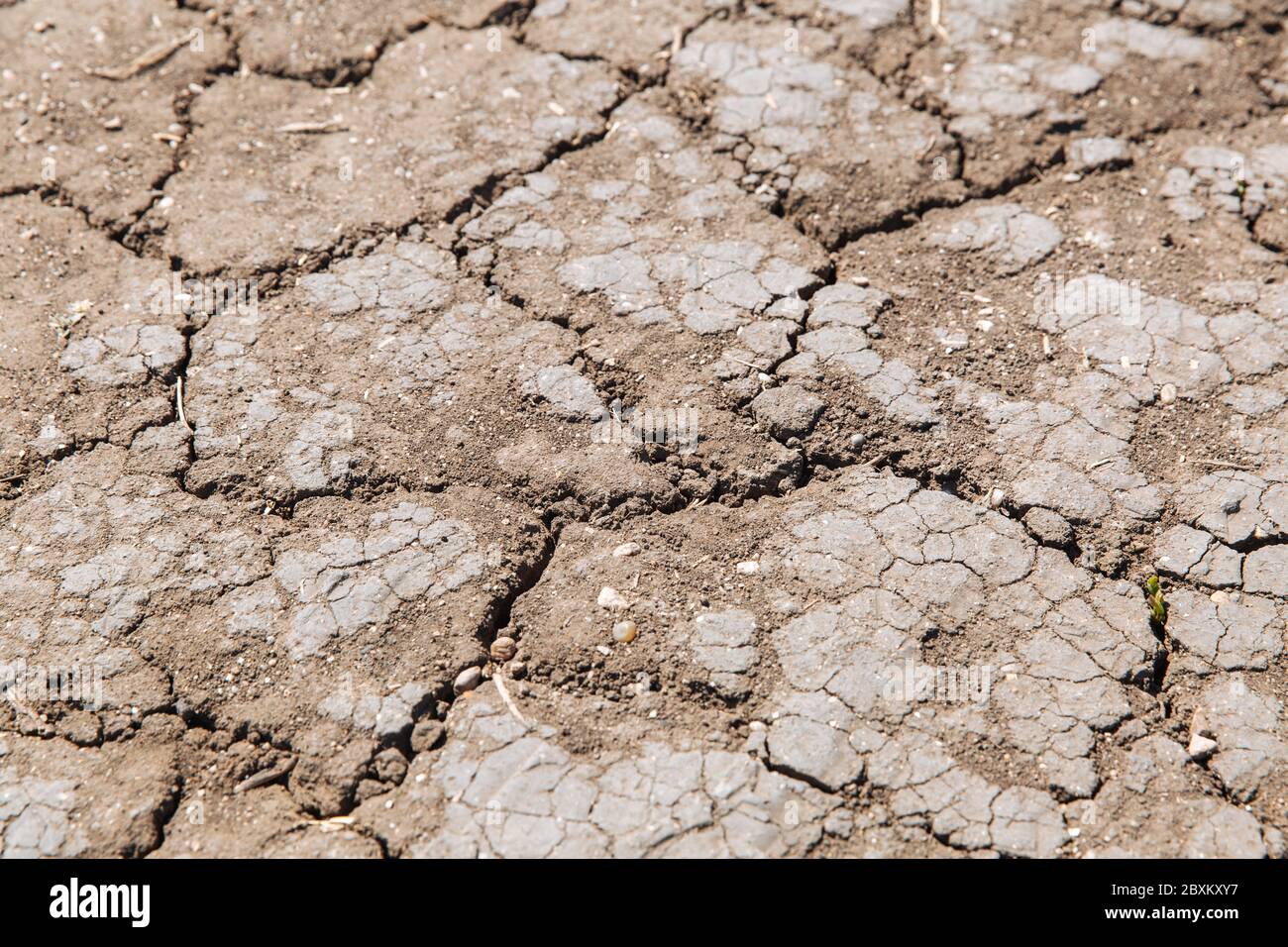 Example of climate change hi-res stock photography and images - Alamy