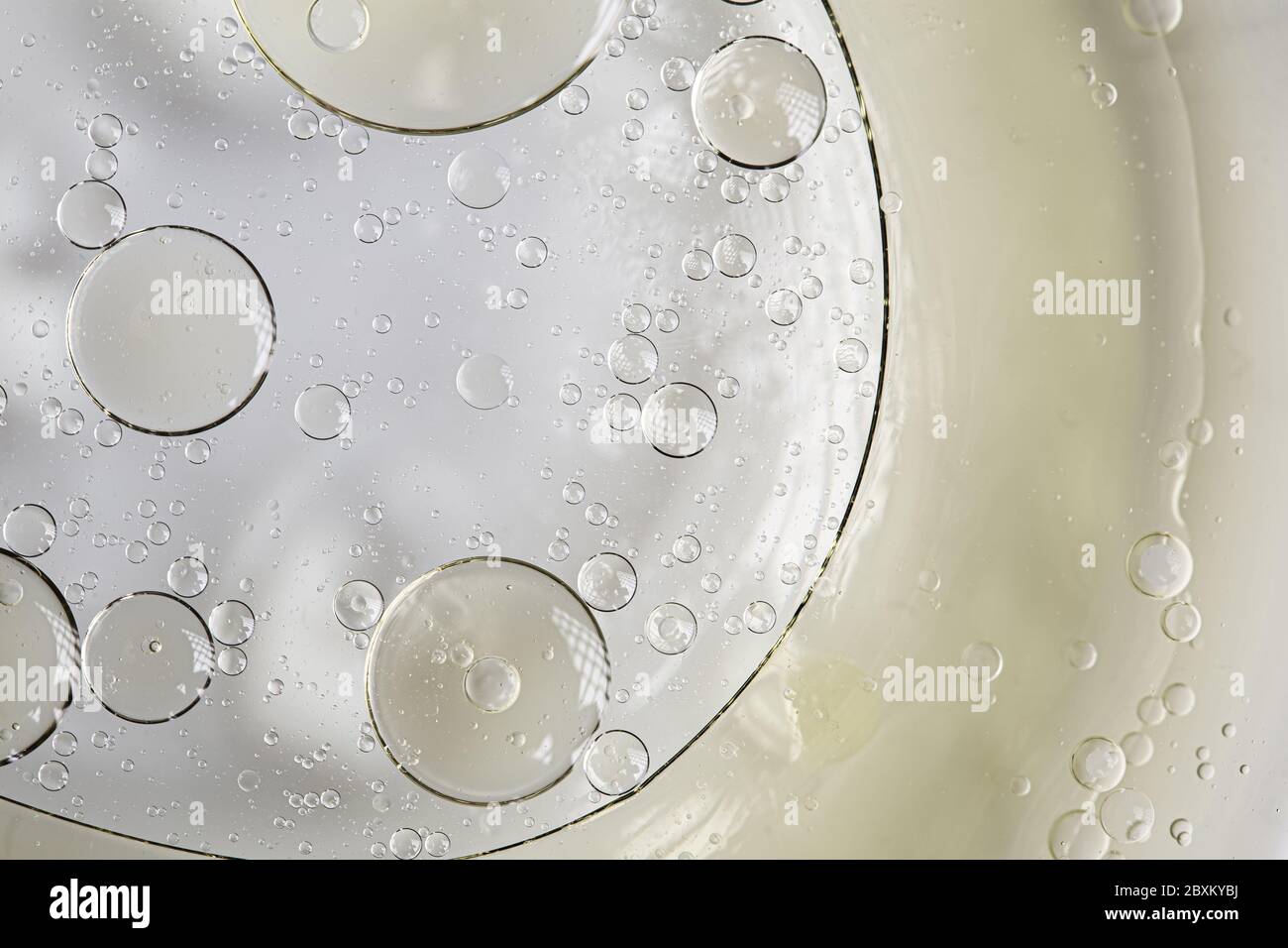 Bubbles and circles on an abstract liquid texture background Stock ...