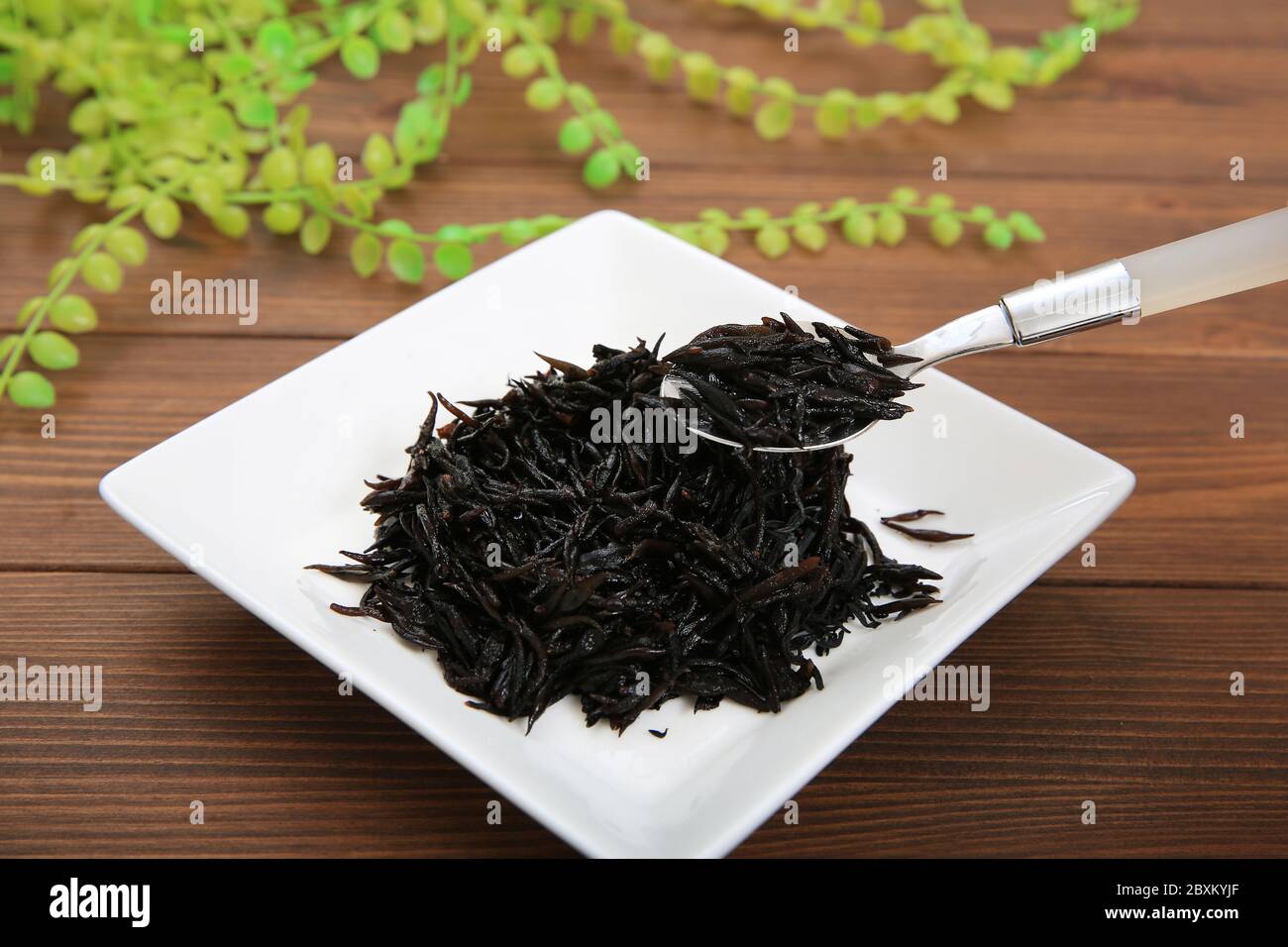 Edible Brown Algae Stock Photo - Alamy