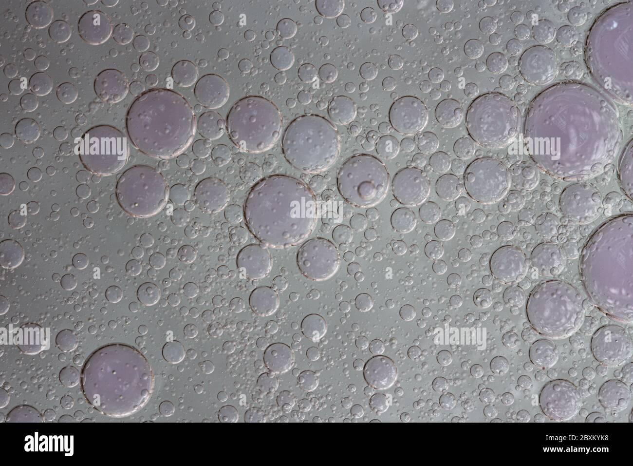 Bubbles and circles on an abstract liquid texture background Stock ...
