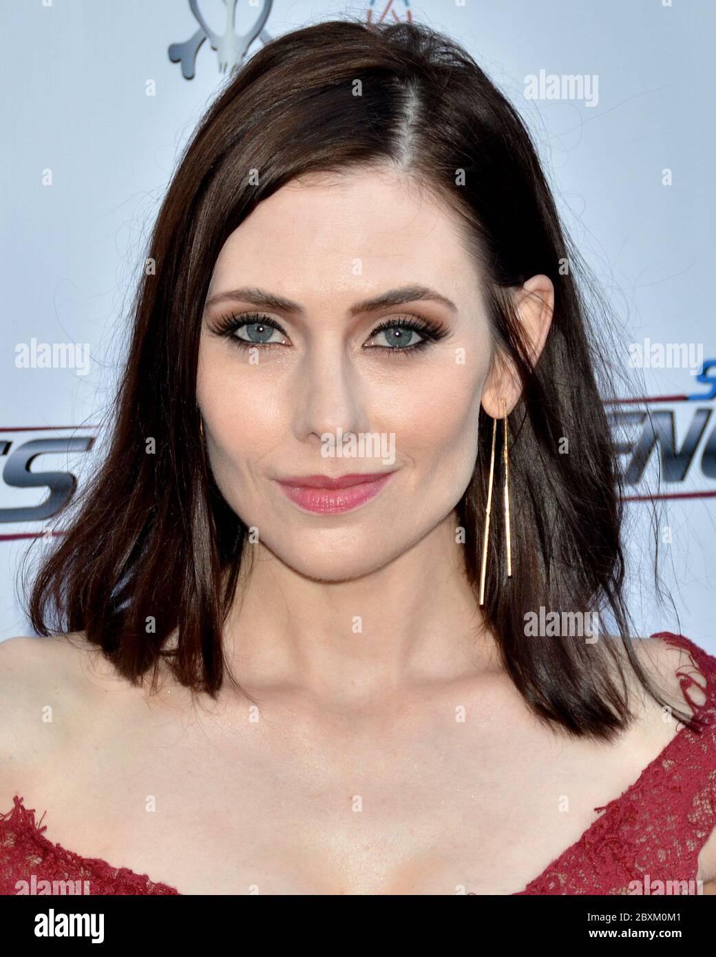 August 1, 2015: Adrienne Wilkinson attends at the World Premiere of ''Star Trek: Renegades'' at ...