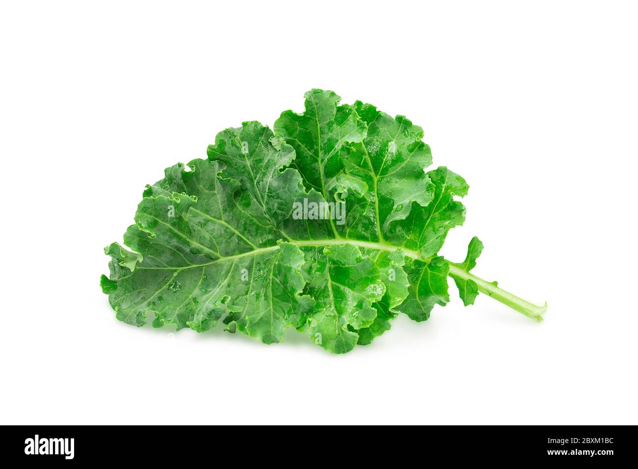 Fresh raw organic green kale leaf on white isolated background with ...
