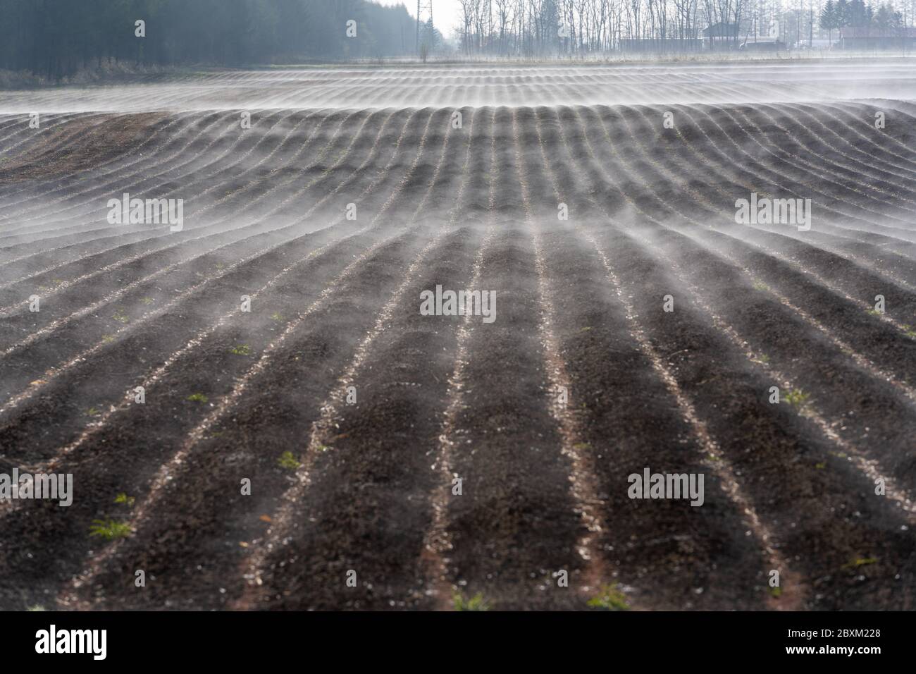 Solid fog hi-res stock photography and images - Alamy