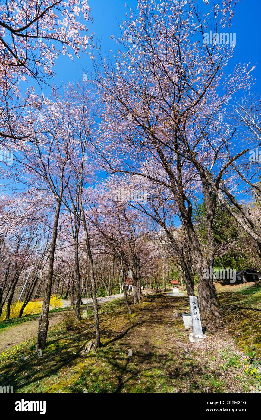 Shintoku hi-res stock photography and images - Alamy