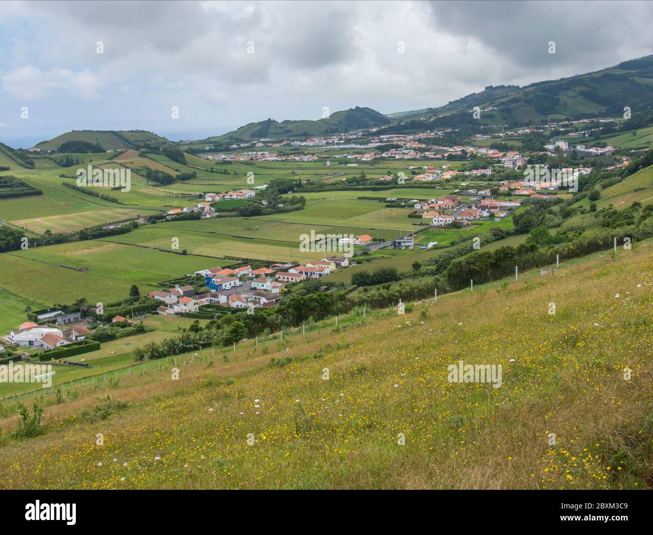 Horta azores hydrangea hi-res stock photography and images - Alamy
