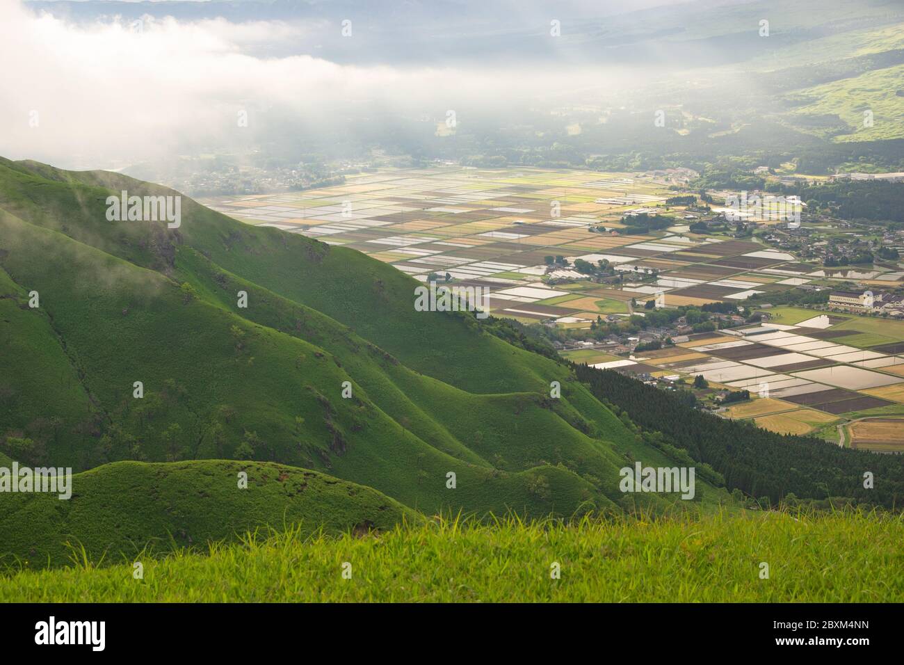Japan rice planting spring hi-res stock photography and images - Alamy