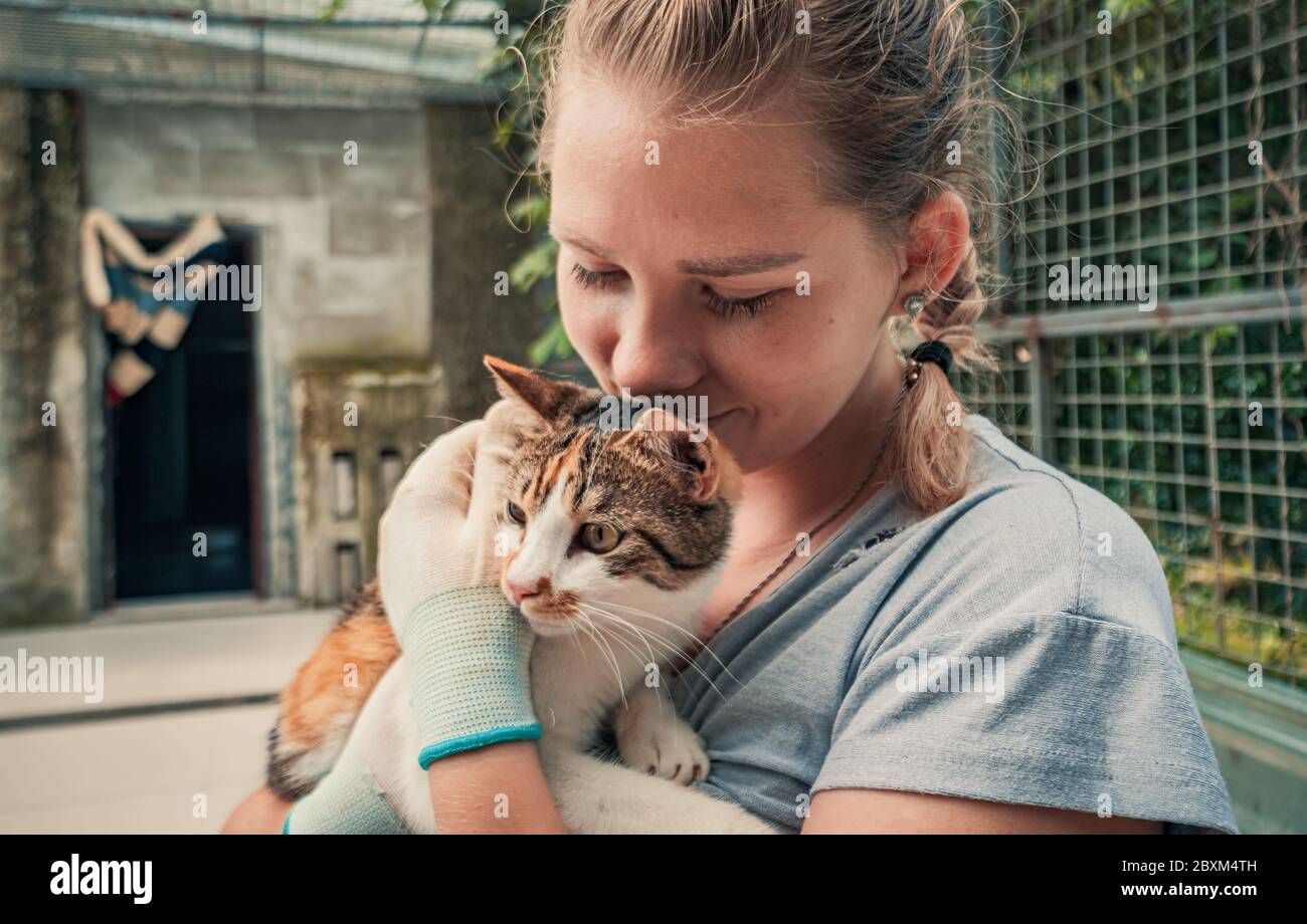 Female volunteer holds on hands cat in shelter Stock Photo - Alamy