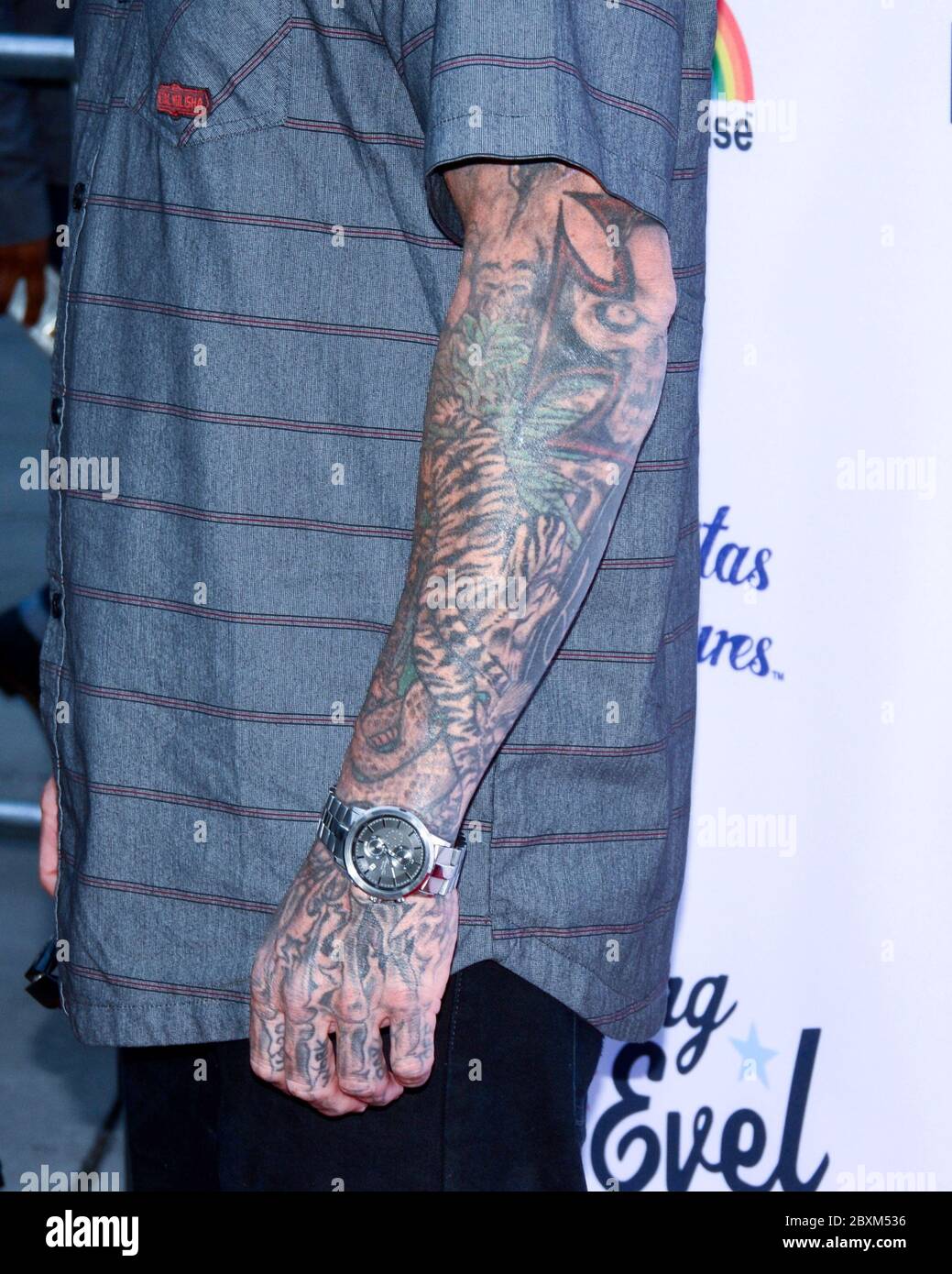 August 19, 2015: Seth Enslow attends the ''Being Evel ''World Premiere ...