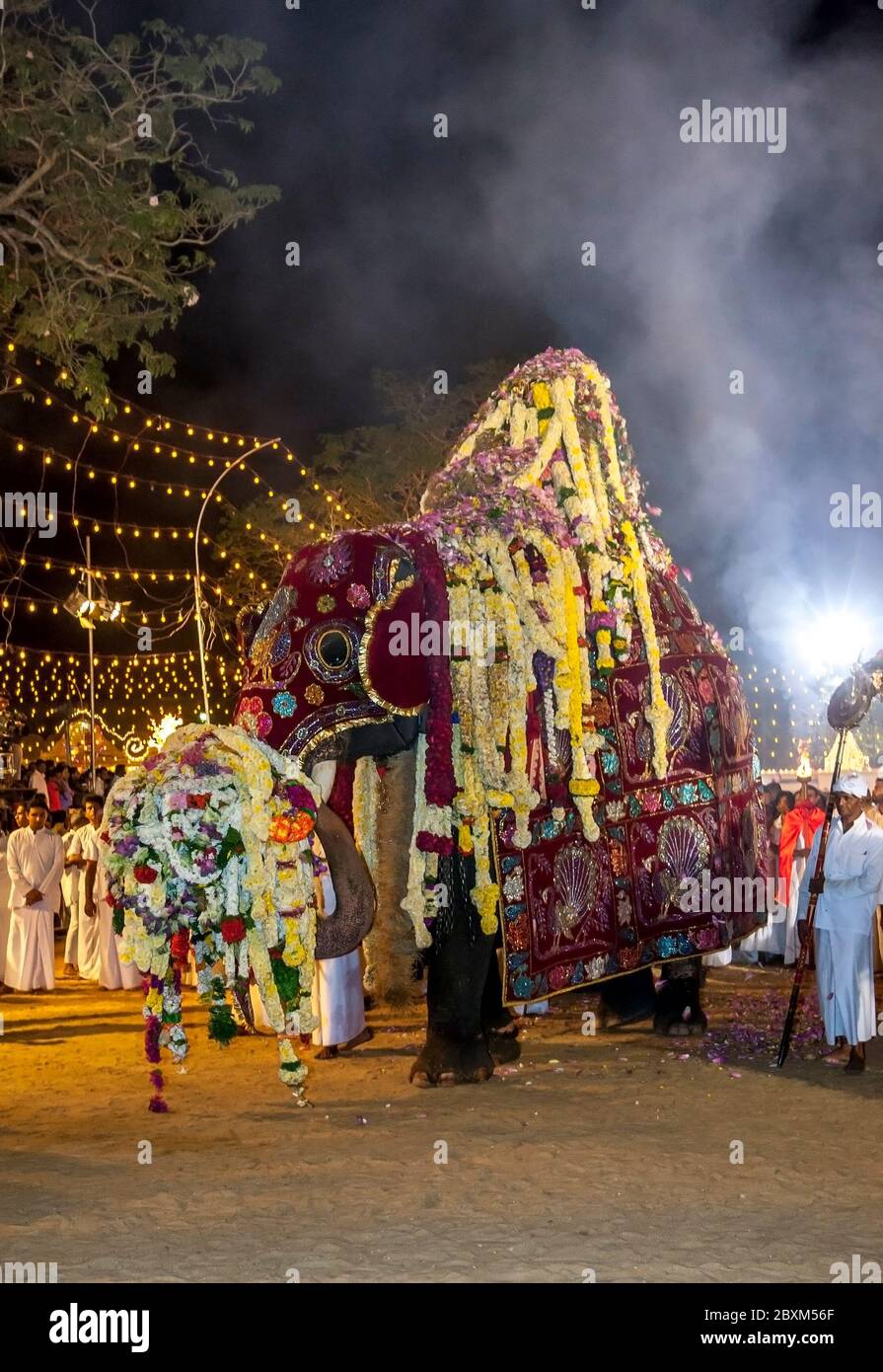 The most holy ceremonial elephant dressed in a colourful cloak parades ...