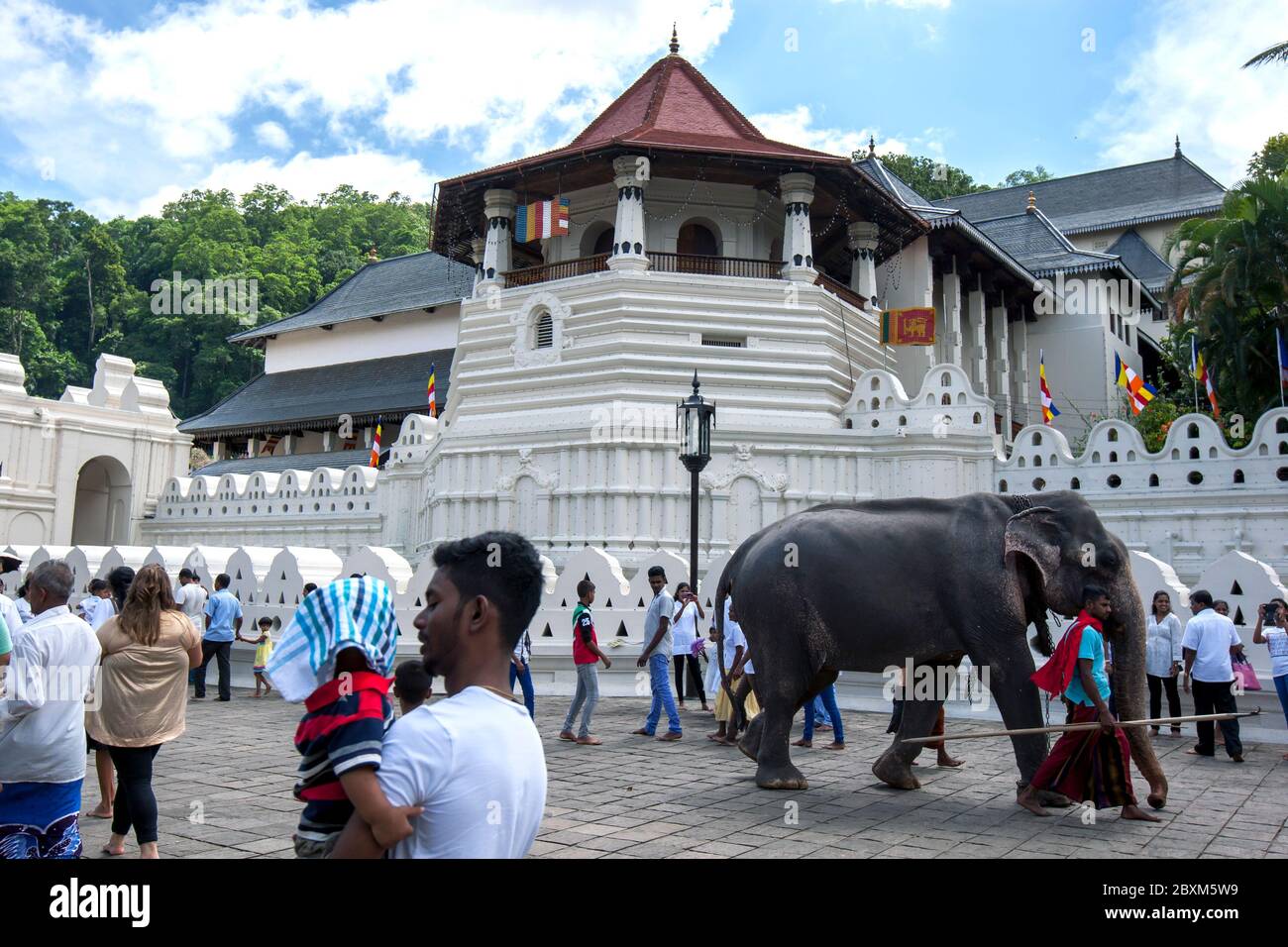 A ceremonial elephant moves past the Temple of the Sacred Tooth Relic ...
